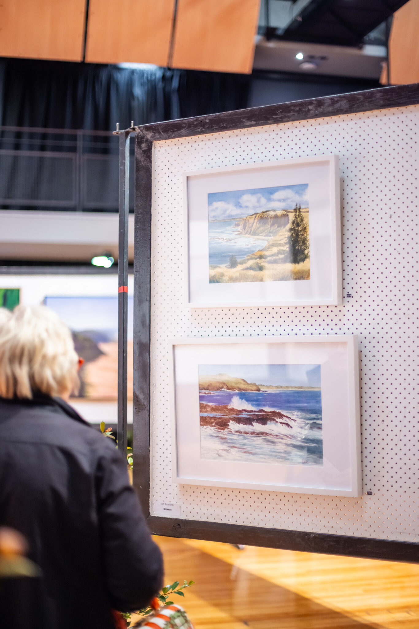 Home - The Geelong Art show